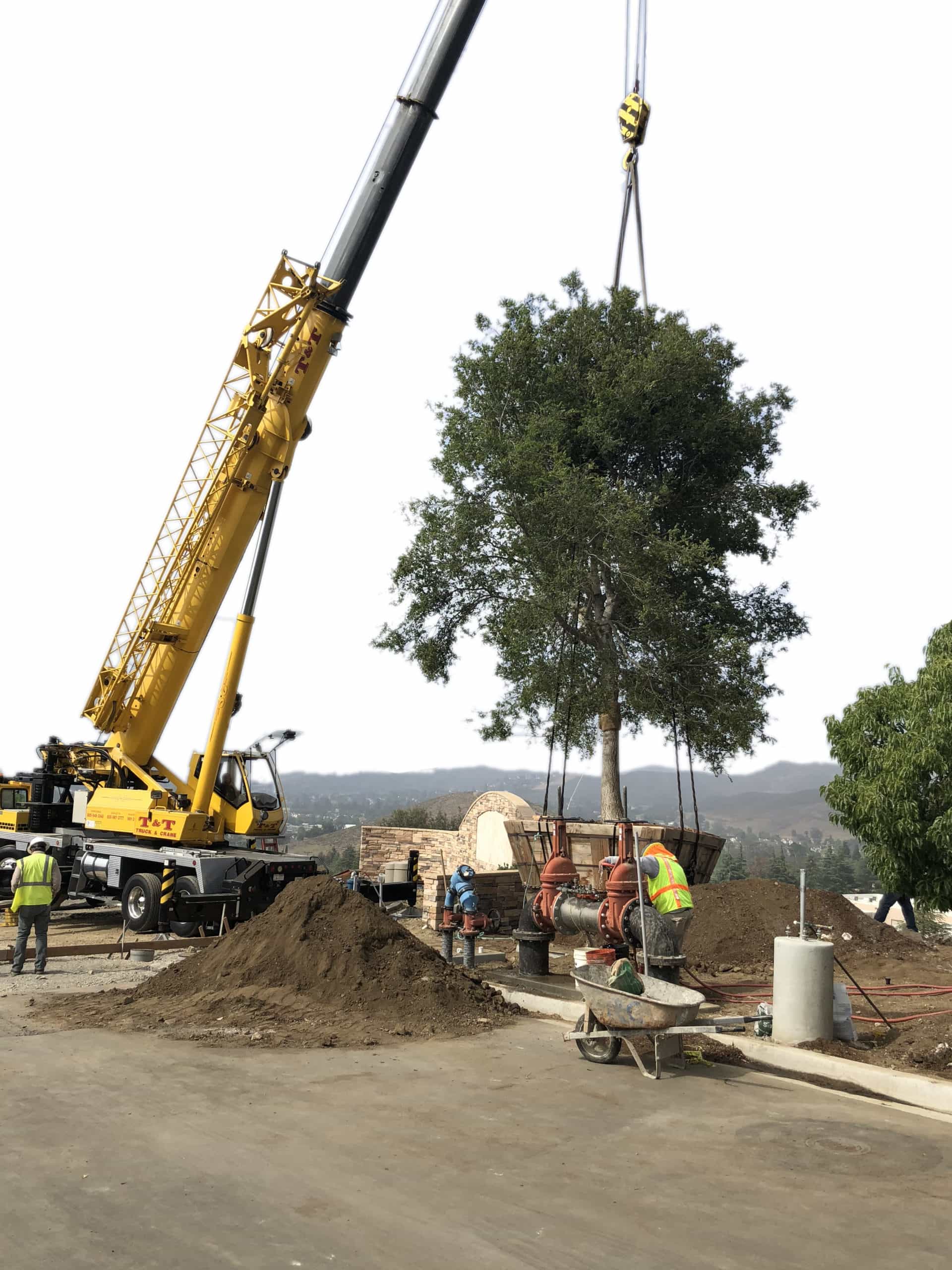 Home | Full Services Landscaping Company | Carmel Landscaping